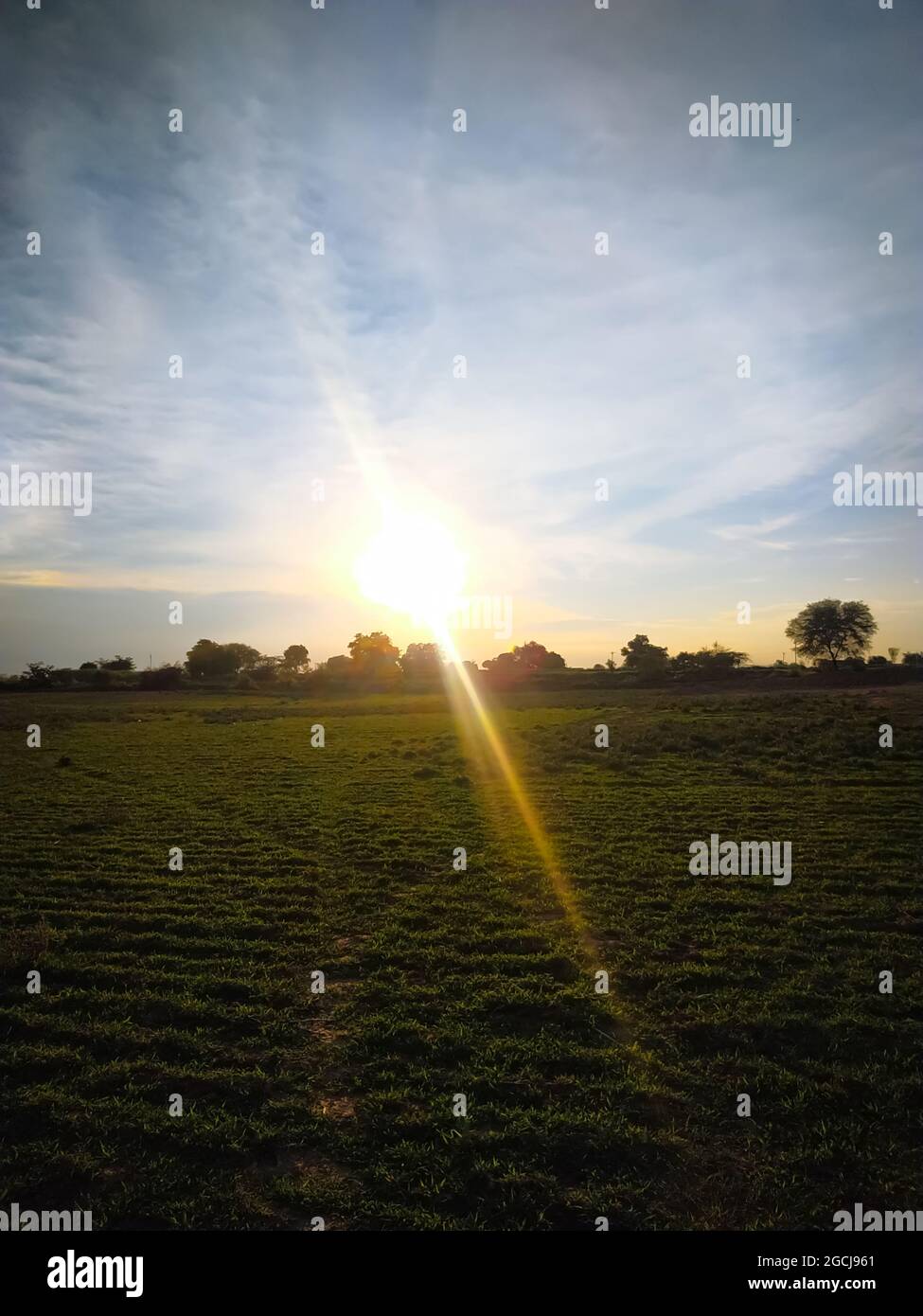 Beautiful sunrise scenery over the grass field Stock Photo - Alamy