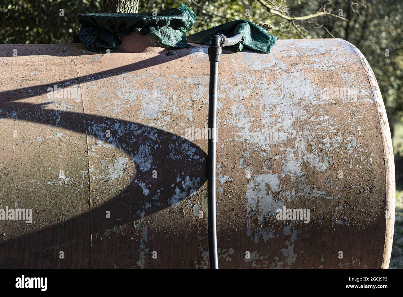Old rusty oil barrel in the countryside with bright sunlight shining on ...