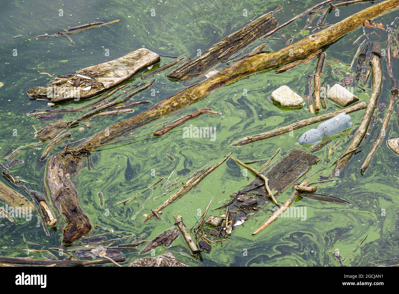 Water source that is polluted with various garbage. Environment ...