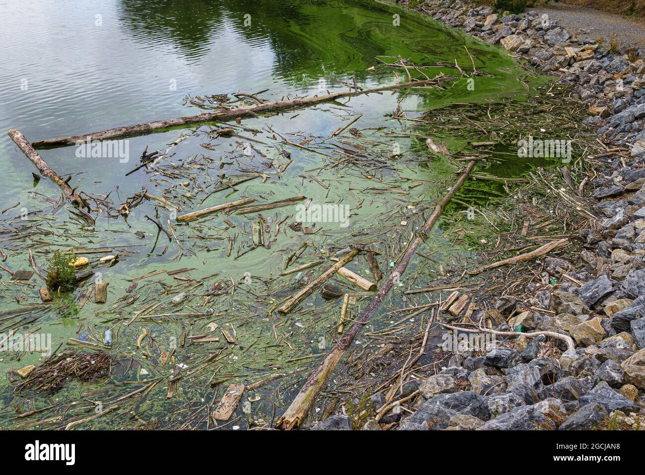 Water source that is polluted with various garbage. Environment ...