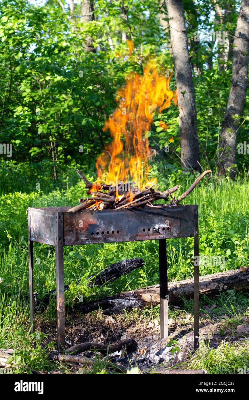 The firewood in the grill burns with a bright orange flame of fire on a ...