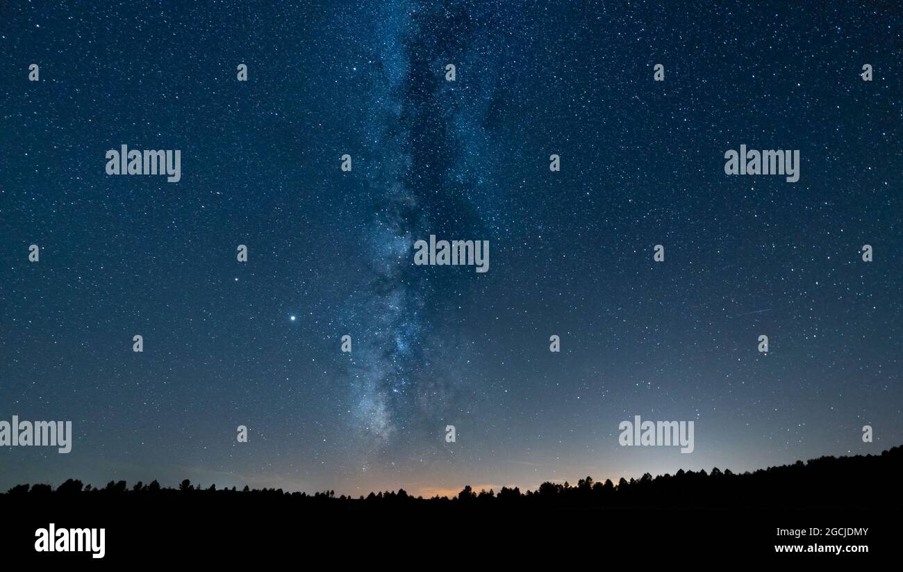 Milky way skyline over the tree tops Stock Photo - Alamy