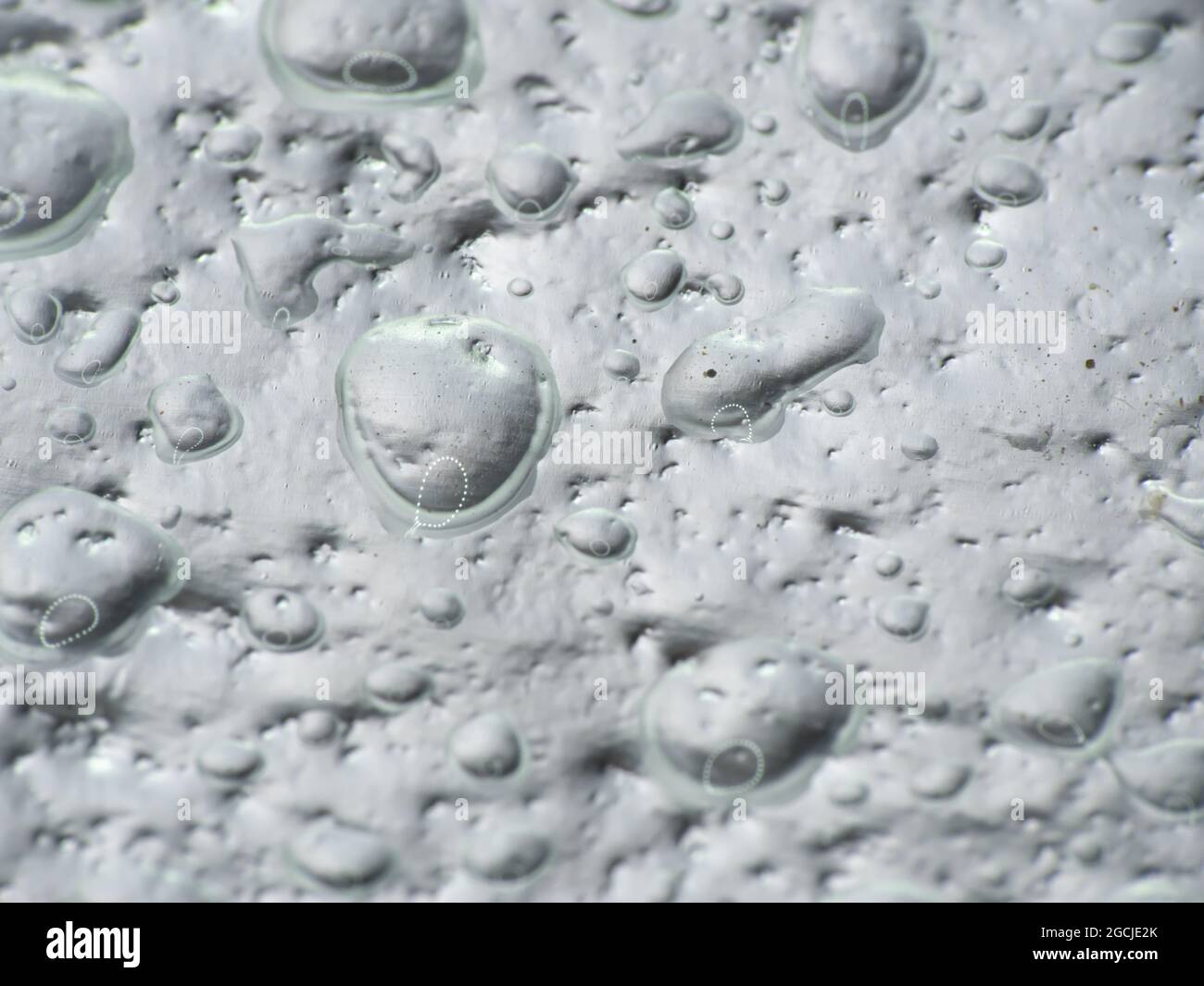 drops of water on the glass wall, close up Stock Photo - Alamy
