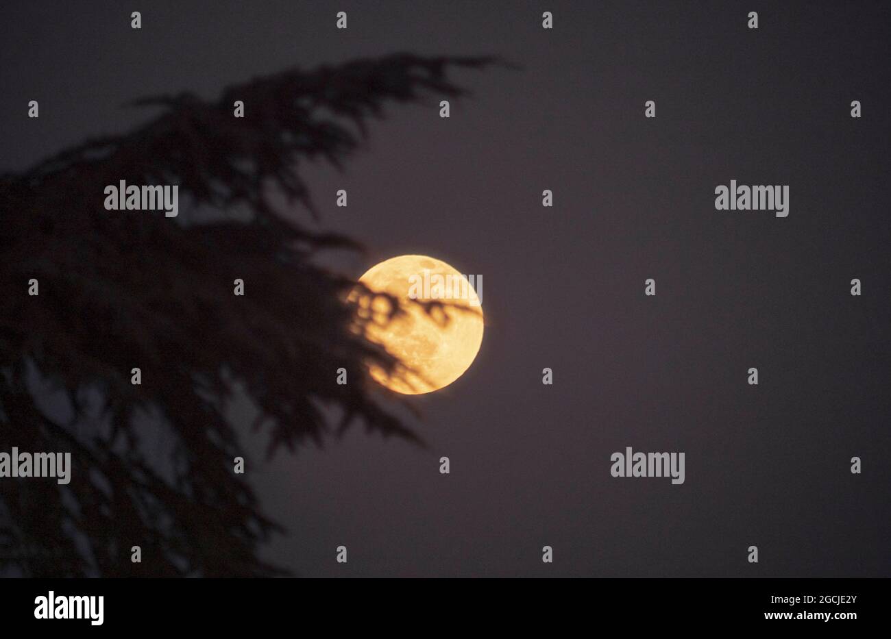 natural big full moon at clear sky Stock Photo - Alamy