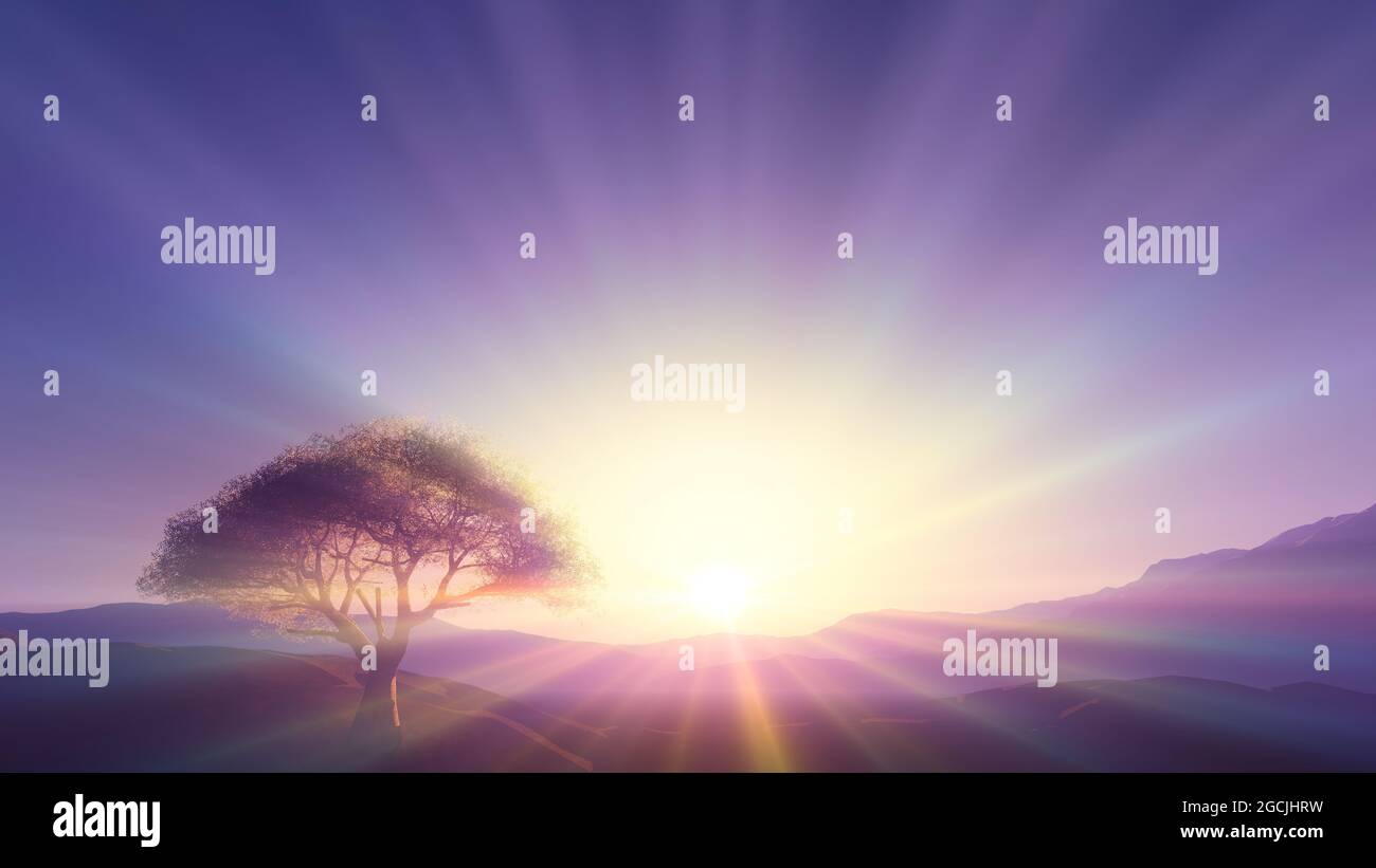 sunset at meadow and lonely tree, 3d render illustration Stock Photo ...