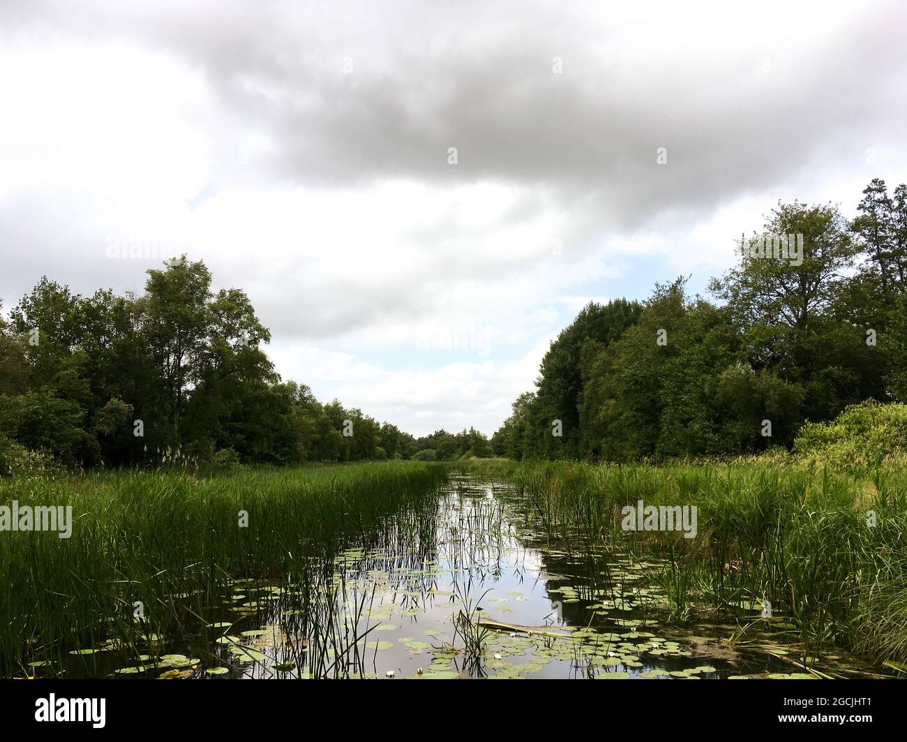 Marsh landscape in the Weerribben Stock Photo - Alamy