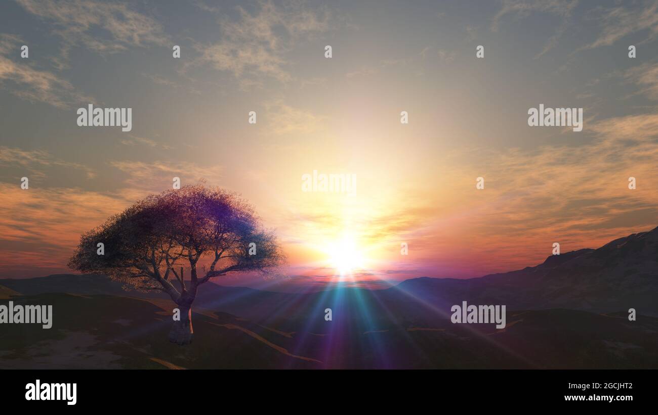 sunset at meadow and lonely tree, 3d render illustration Stock Photo ...