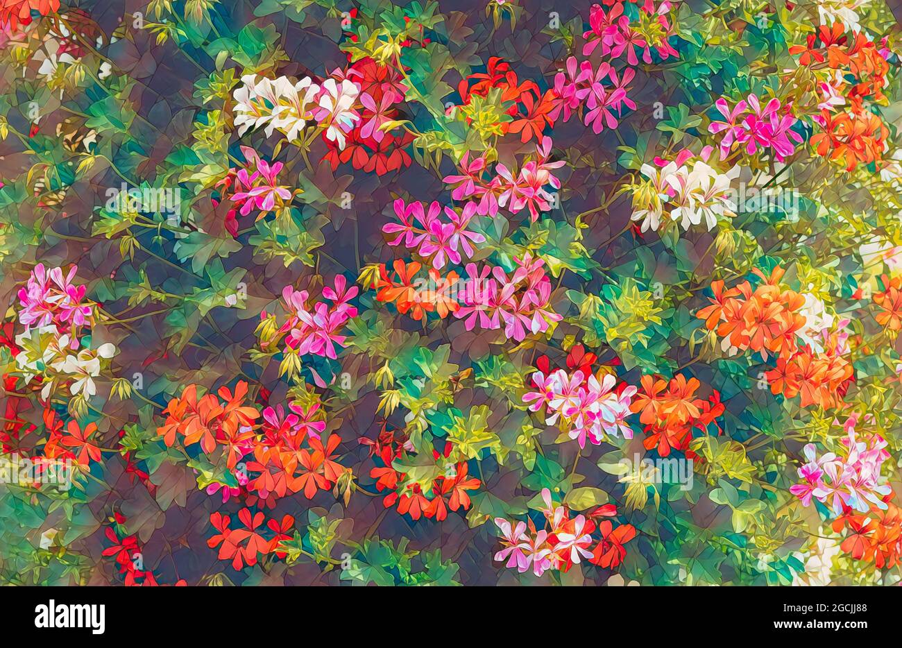 beautiful background with muscat flowers and mosaic structure Stock ...