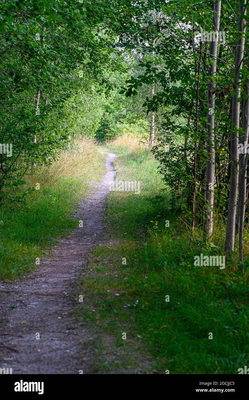 Gravel trail through forest hi-res stock photography and images - Alamy