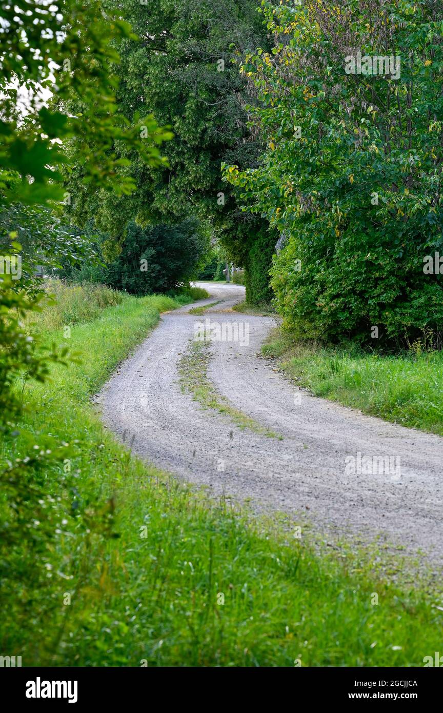 gravel road going through rural area in Sweden Stock Photo - Alamy