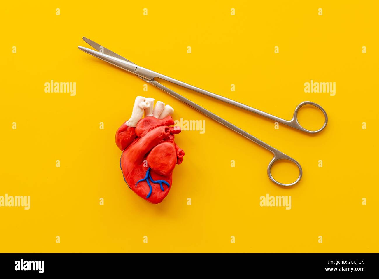 Surgical instruments and heart model. Heart surgery concept Stock Photo ...