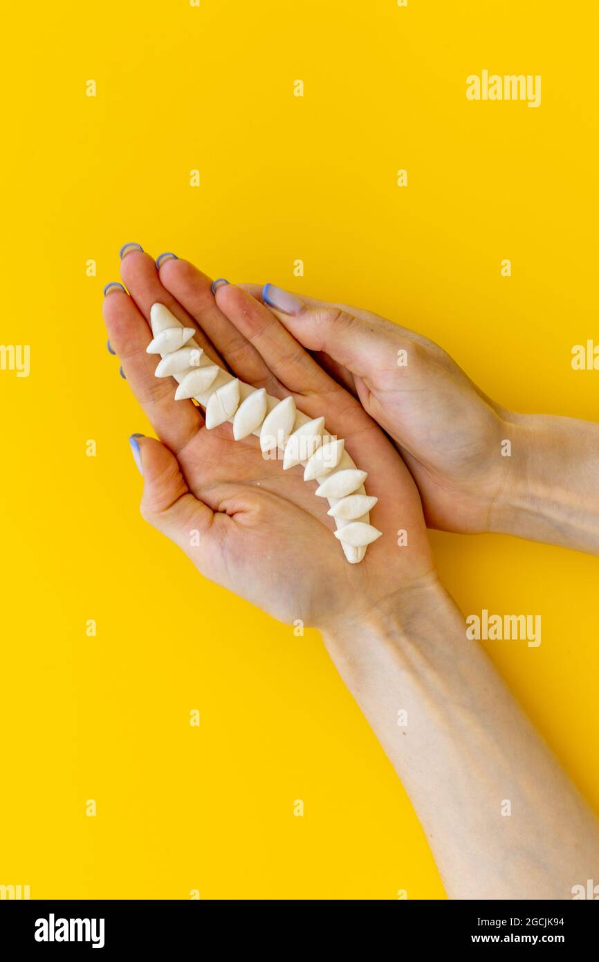 Spine skeleton model in hands. spinal diseases curvature concept Stock ...
