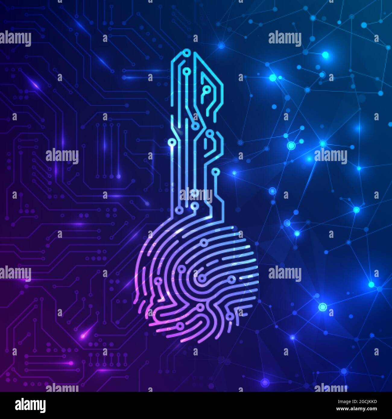Fingerprint biometric circuit key for identification on hardware and ...