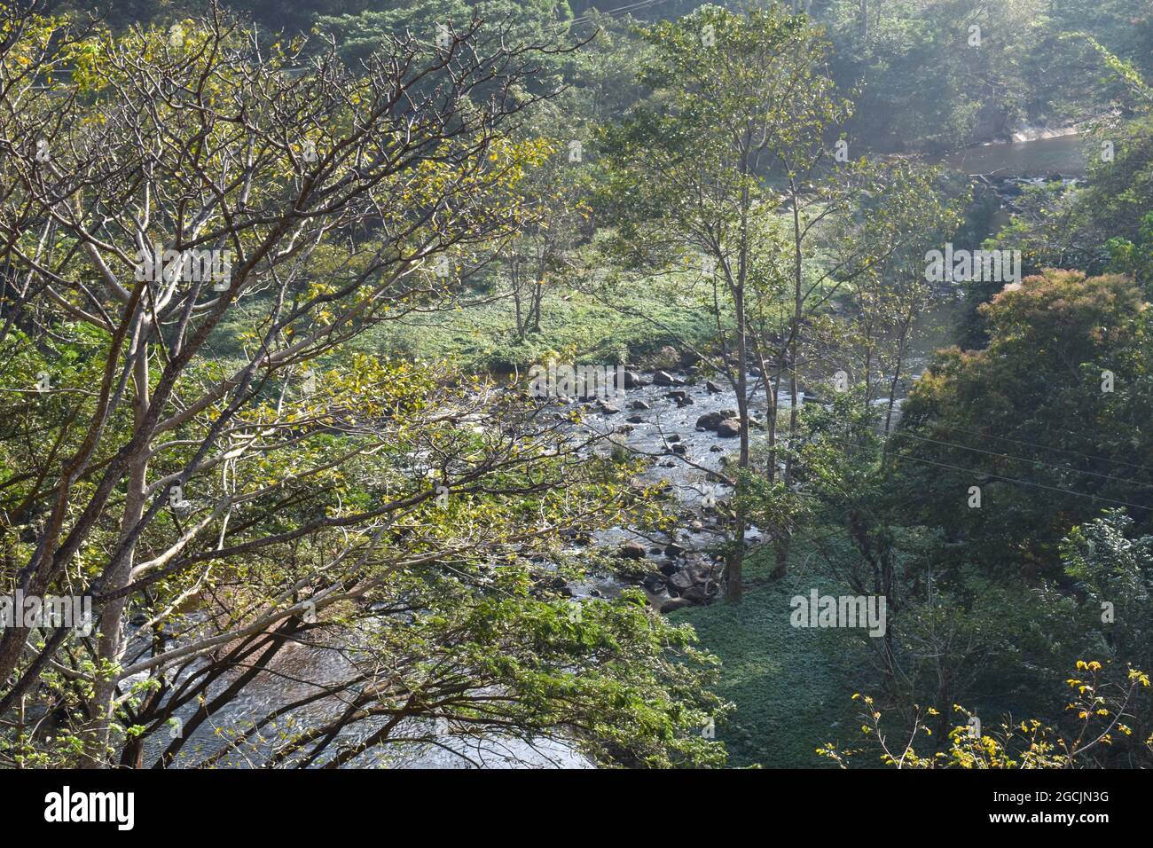 Aerial shot of a river surrounded by trees and forests captured in ...