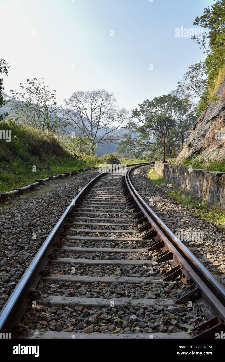 Vertical shot of the train tracks in the forest and mountains captured ...