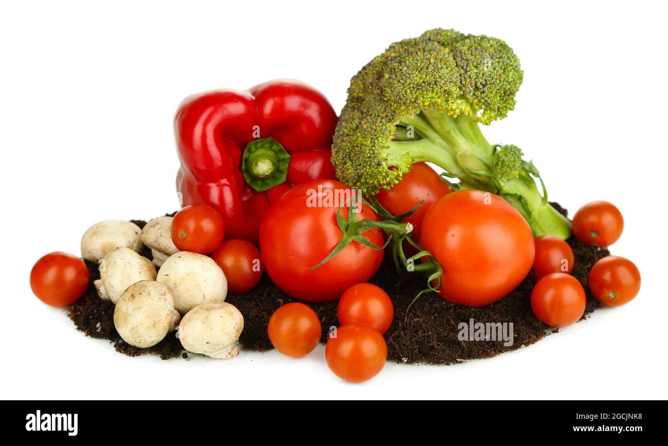Vegetables on ground isolated on white Stock Photo - Alamy