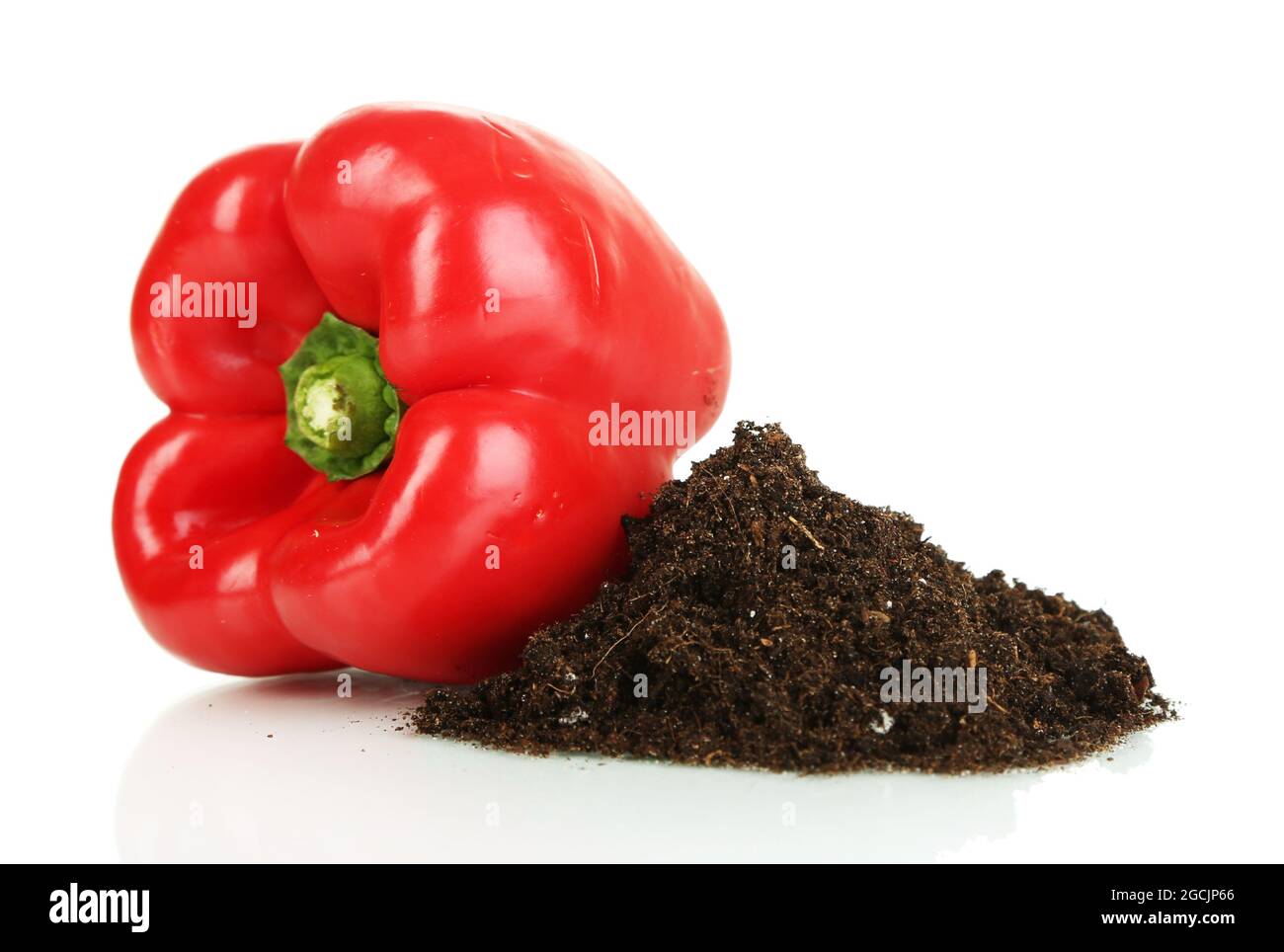 Red pepper with ground isolated on white Stock Photo - Alamy