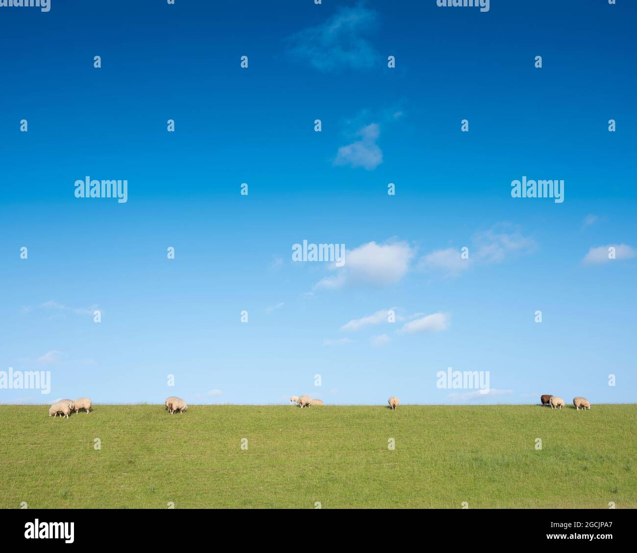 Grass dike hi-res stock photography and images - Alamy