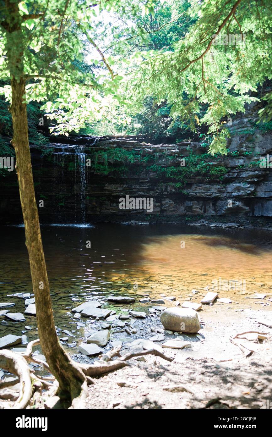 New york bird sanctuary hi-res stock photography and images - Alamy