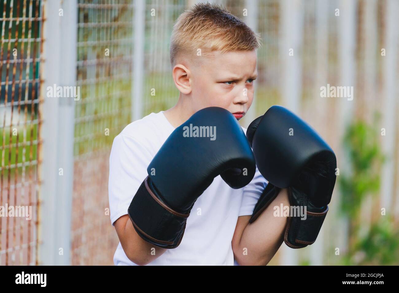 Schoolboy boxing hi-res stock photography and images - Alamy