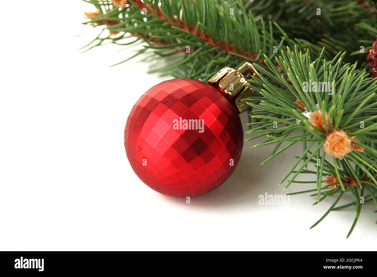 Beautiful Christmas ball on fir tree isolated on white Stock Photo - Alamy