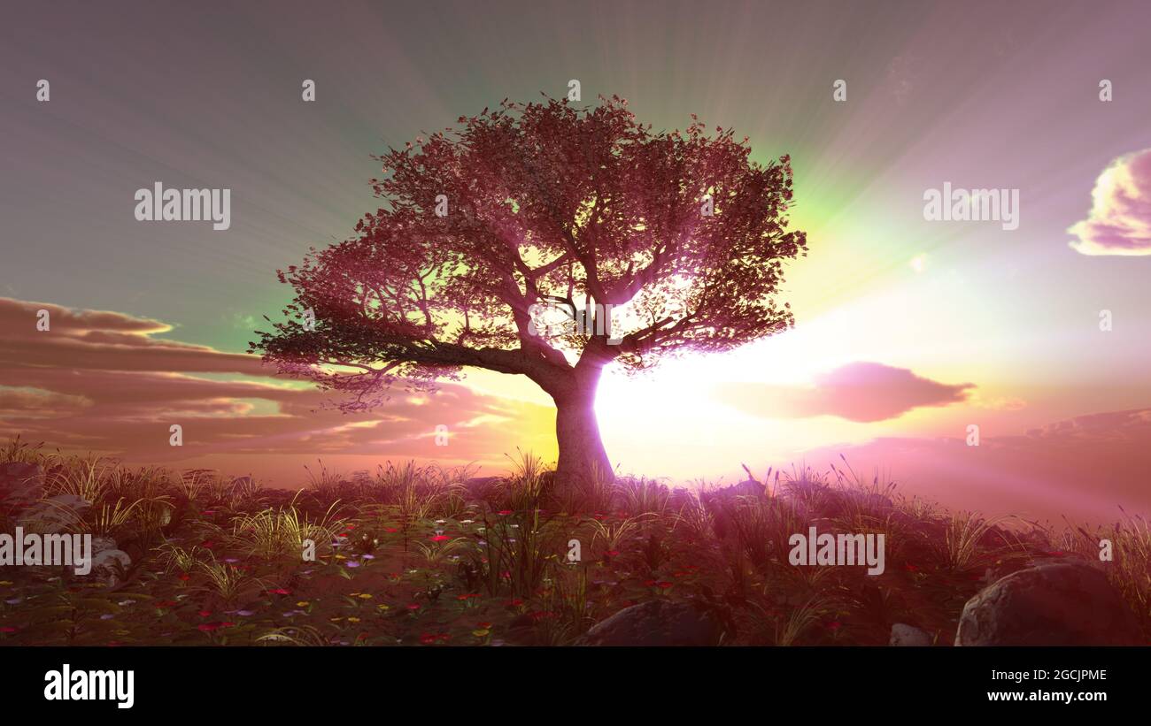 tree spring in meadow sunset illustration, 3d rendering Stock Photo - Alamy