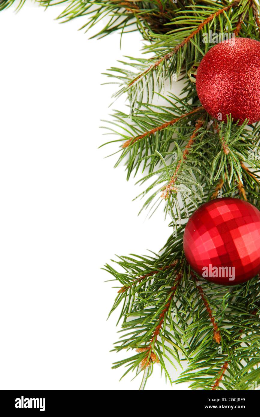 Beautiful Christmas balls on fir tree isolated on white Stock Photo - Alamy