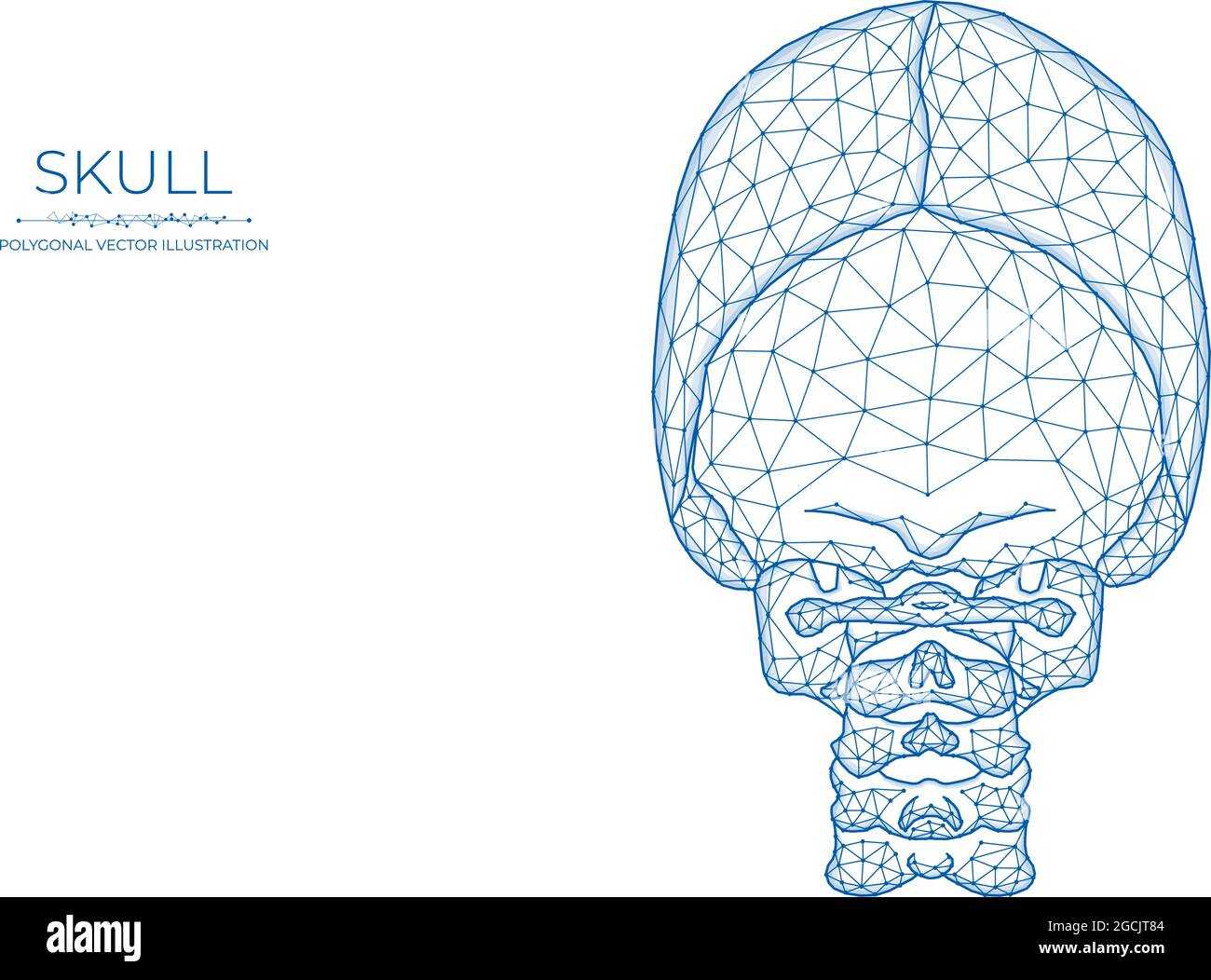 Human skull low poly art. Polygonal vector illustration of a skull back ...