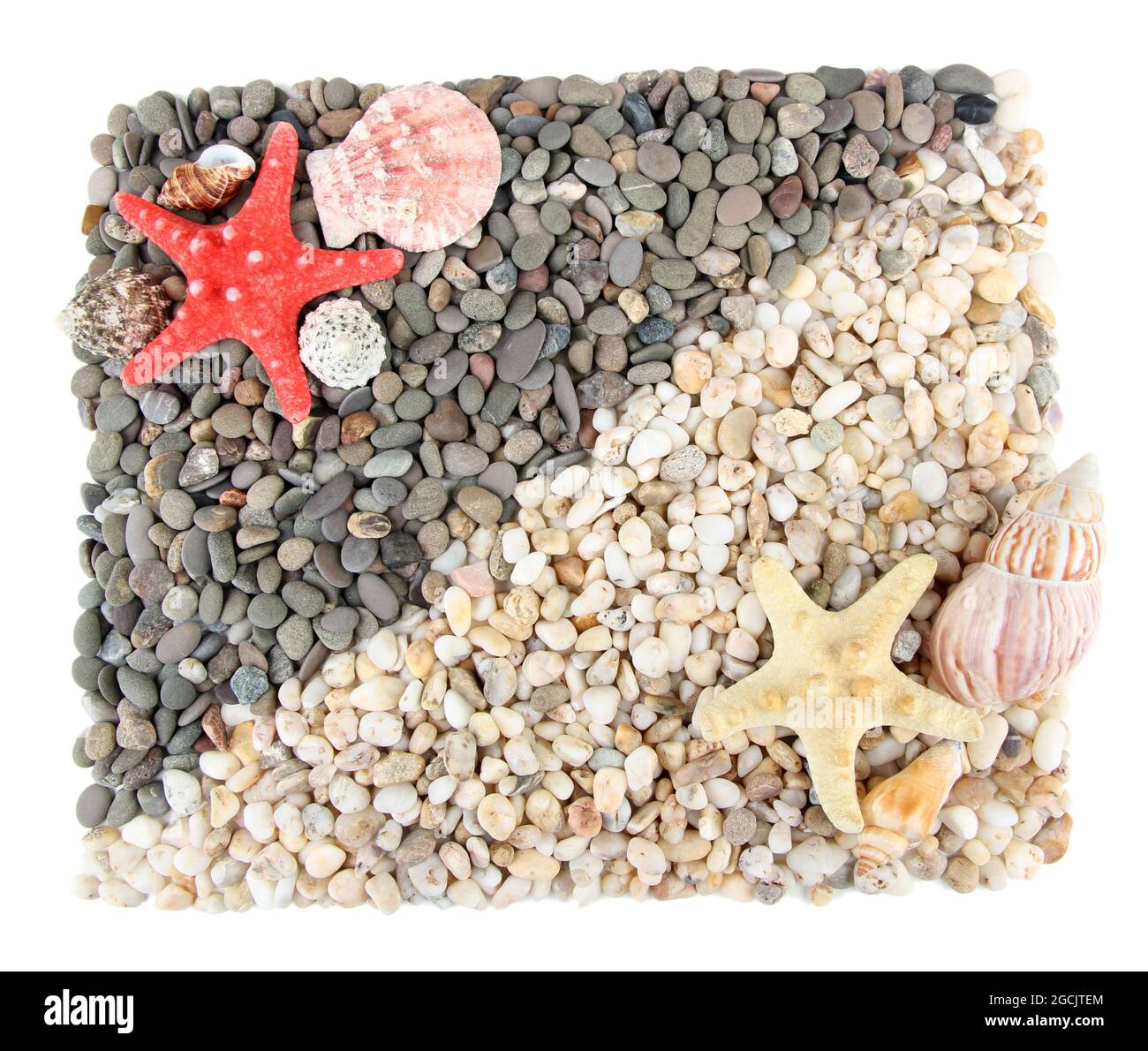 Small sea stones and shells, isolated on white Stock Photo - Alamy