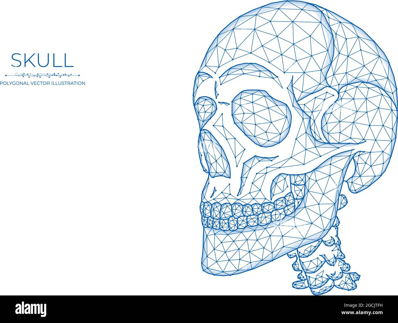 Human skull low poly art. Polygonal skull on a white background Stock ...