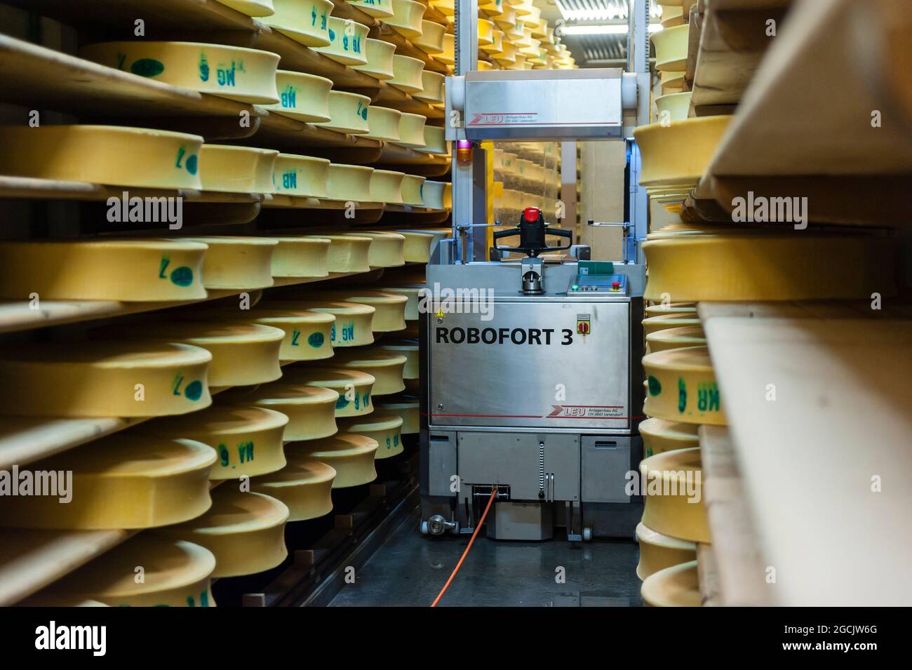 Cheese rotating robot, the Beaufort Cheese in the ripening cellars at ...