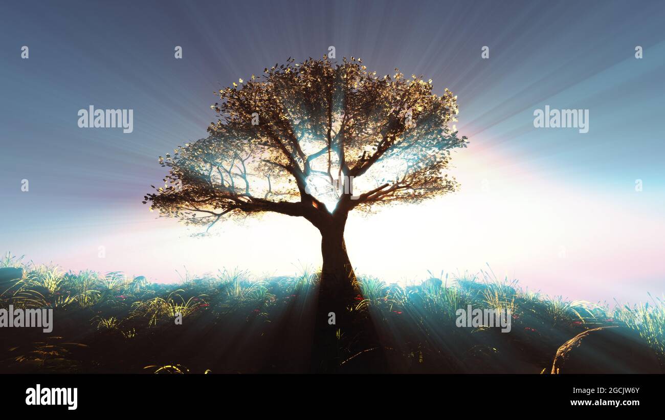 tree spring in meadow sunset illustration, 3d rendering Stock Photo - Alamy