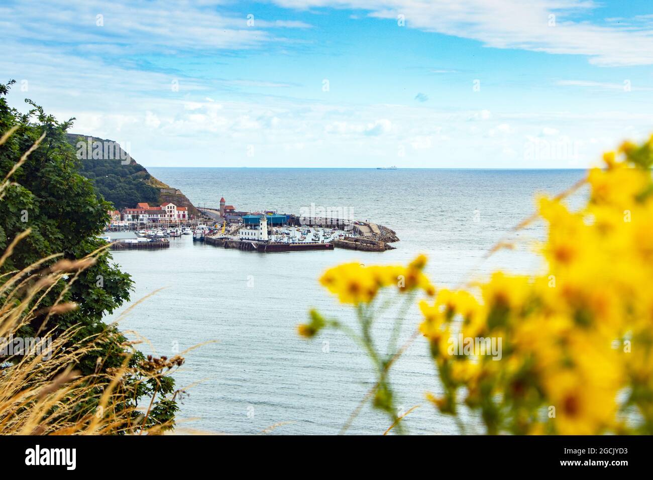 high view of the harbour in Scarborough Yorkshire Stock Photo - Alamy