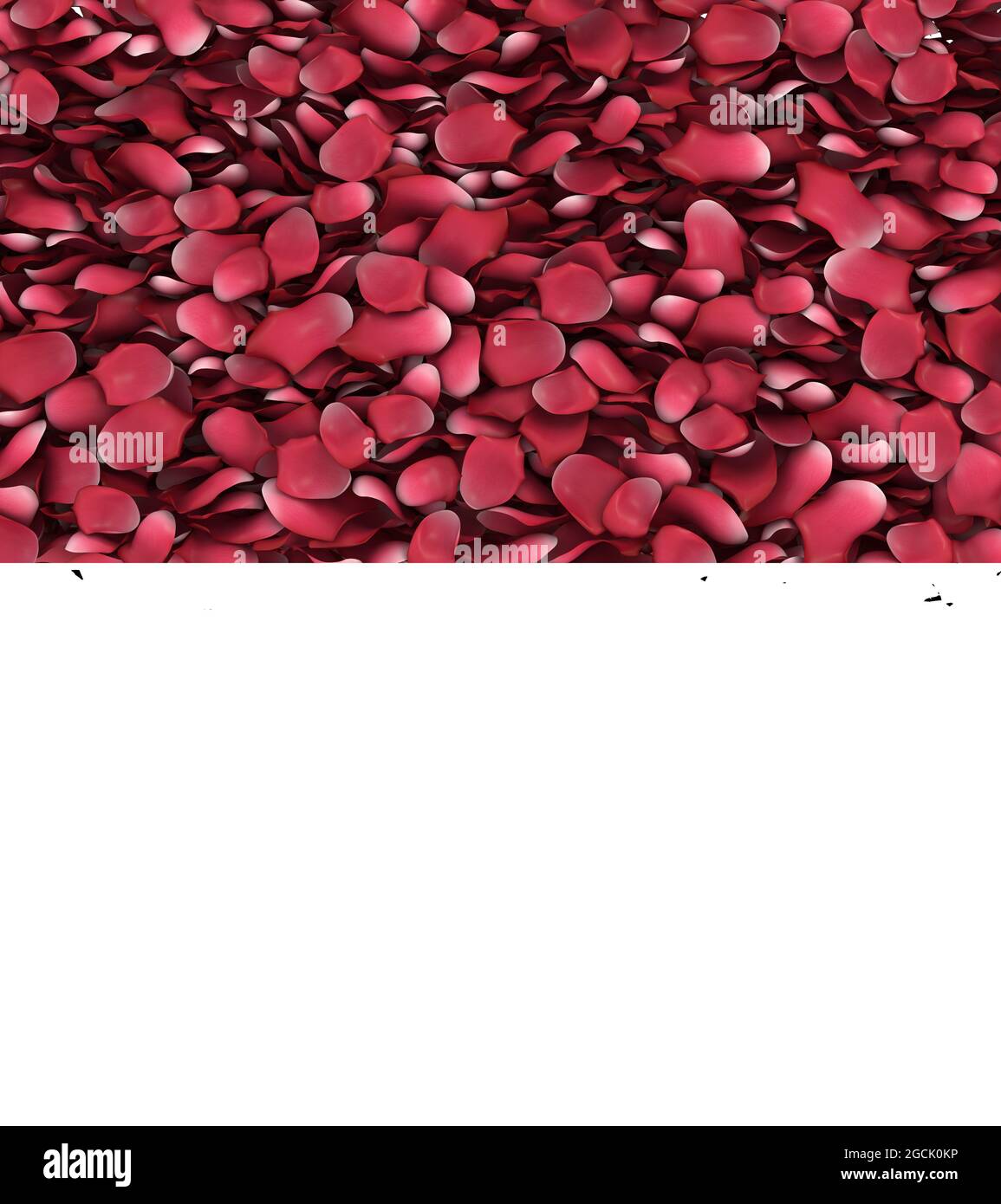 Alpha rose hi-res stock photography and images - Alamy