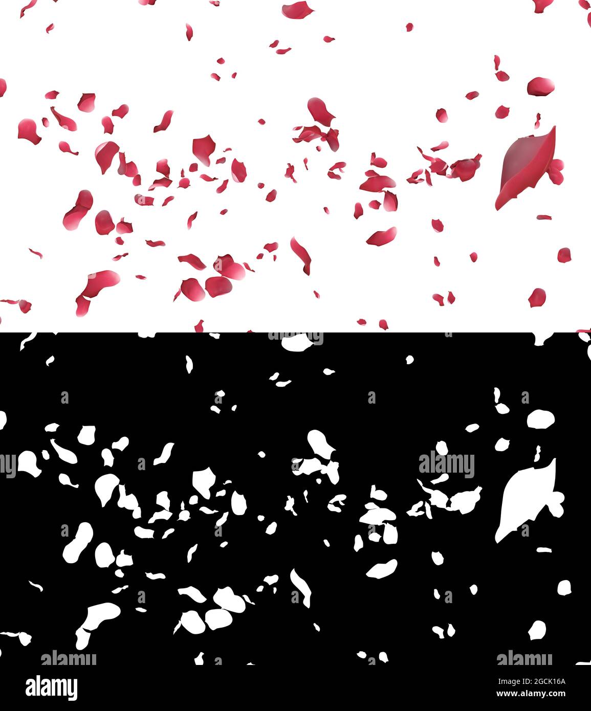 Alpha rose hi-res stock photography and images - Alamy