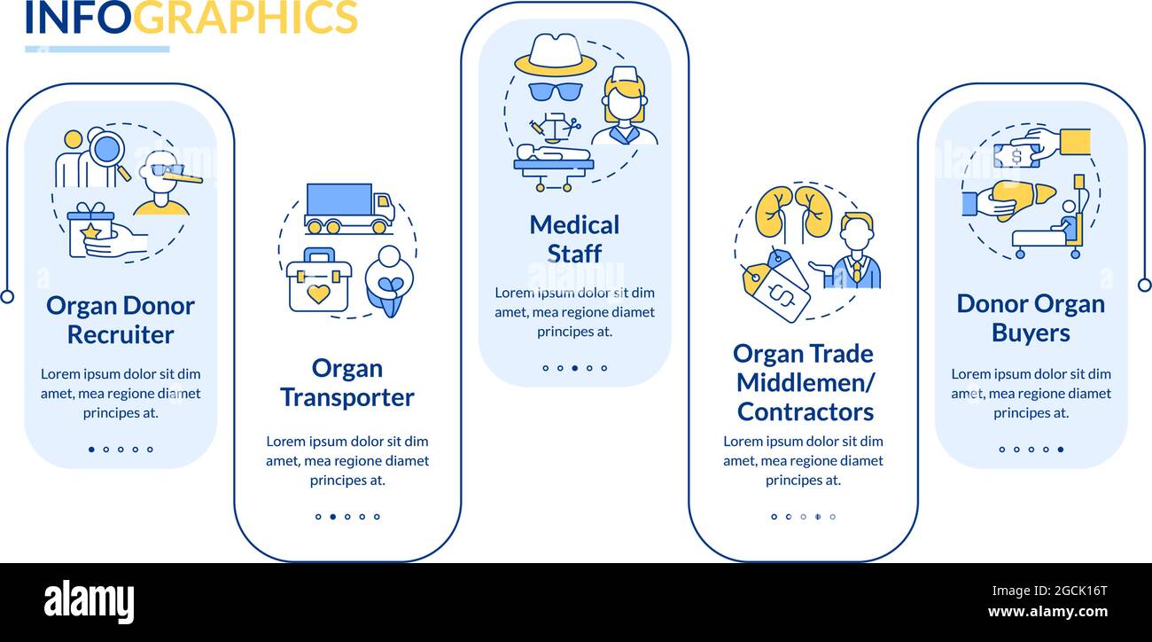 Illegal organ trade organizers vector infographic template Stock Vector ...