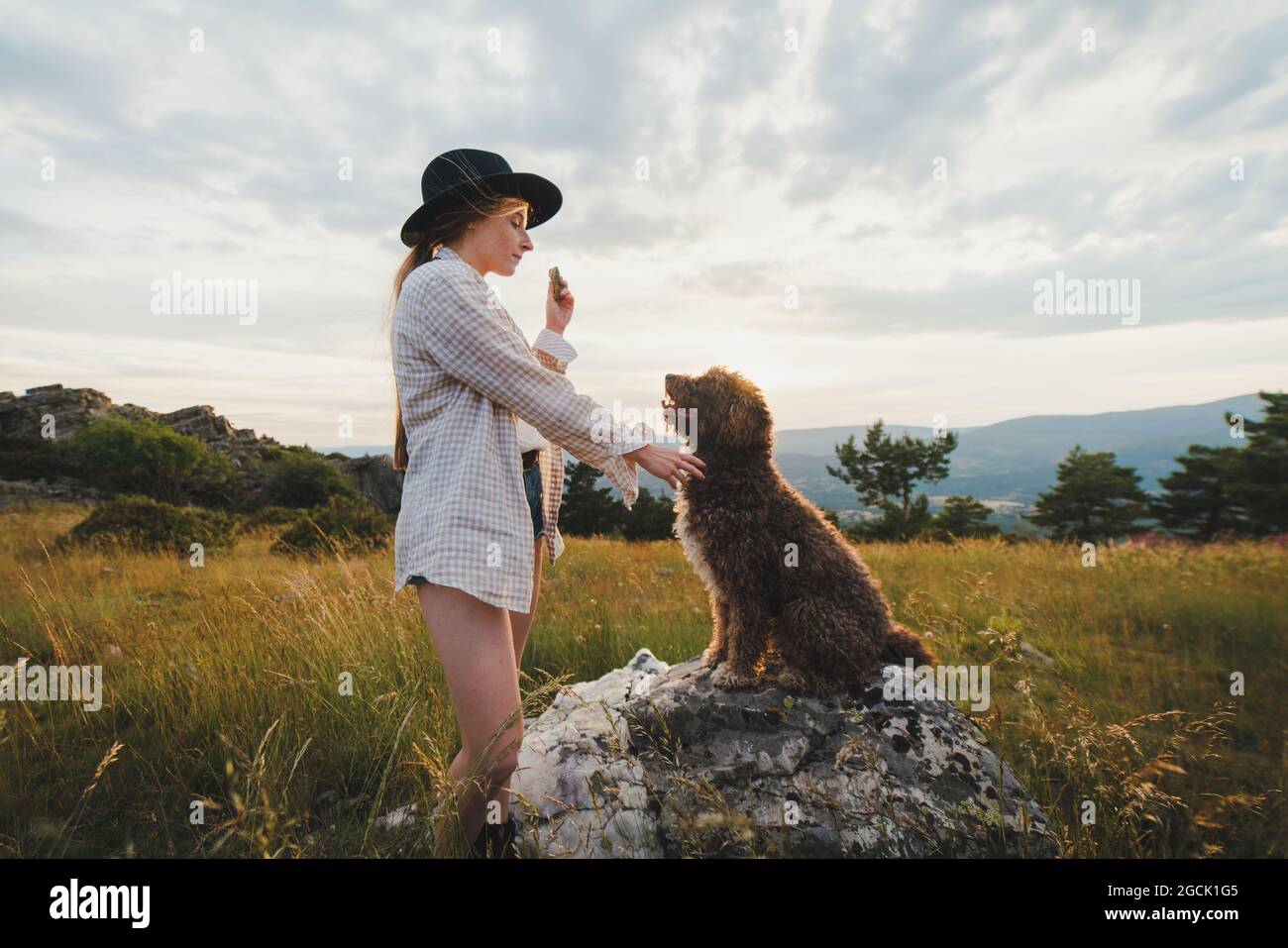 Side view of female owner with food training obedient Labradoodle dog ...