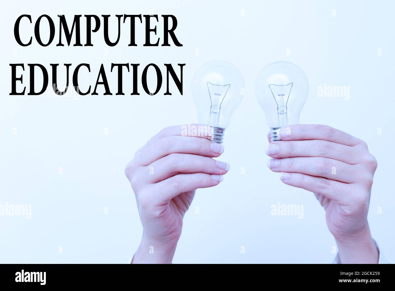 Conceptual caption Computer Education. Business overview gaining basic ...