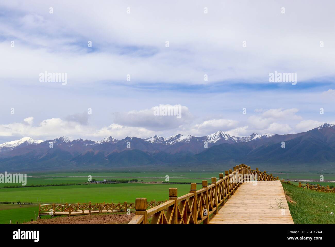 Menyuan yellow Rapeseed Flower Scenic Spot in Qinghai, China. Blue sky ...