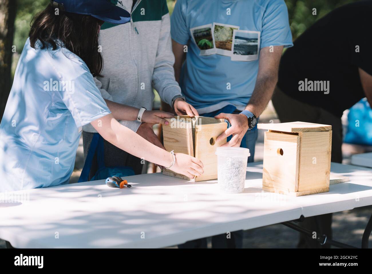 Team of activists constructing wooden nesting boxes while gathering ...