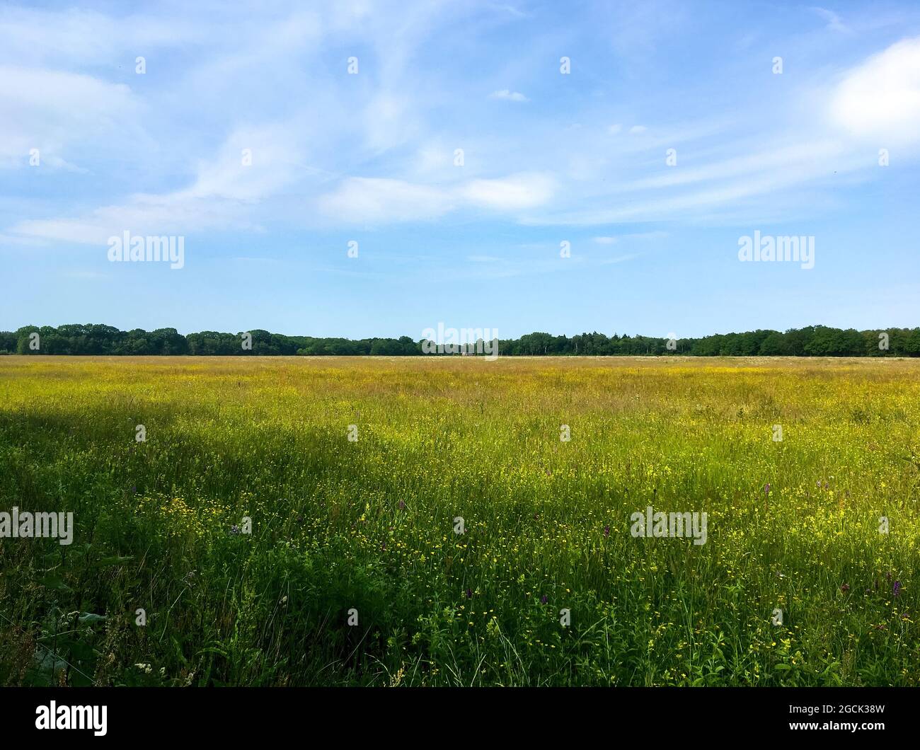 Drentse hi-res stock photography and images - Alamy