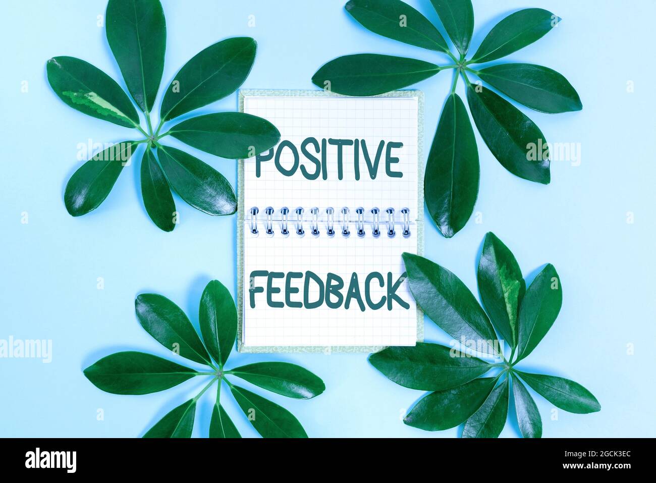 Text showing inspiration Positive Feedback. Internet Concept good and ...