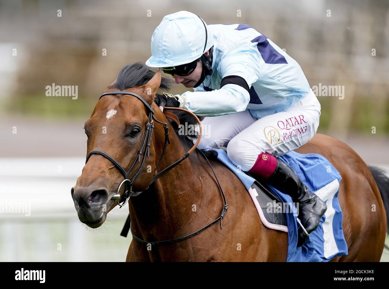 Starman horse hi-res stock photography and images - Alamy