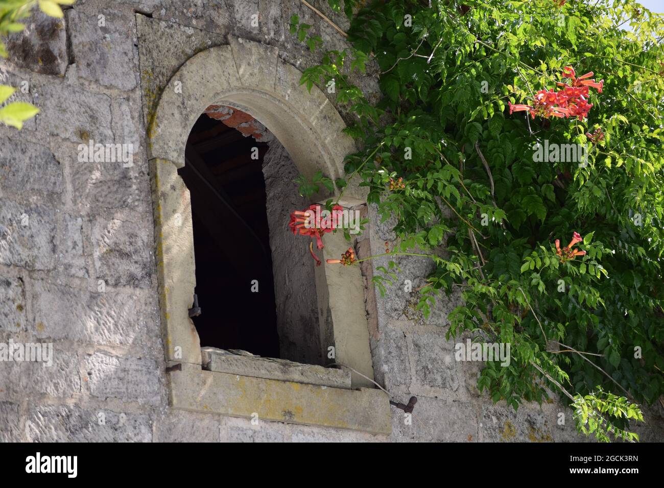 Doors with round arches hi-res stock photography and images - Alamy