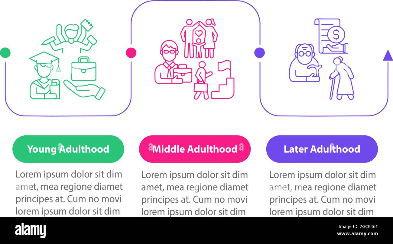 Periods of adulthood vector infographic template Stock Vector Image ...