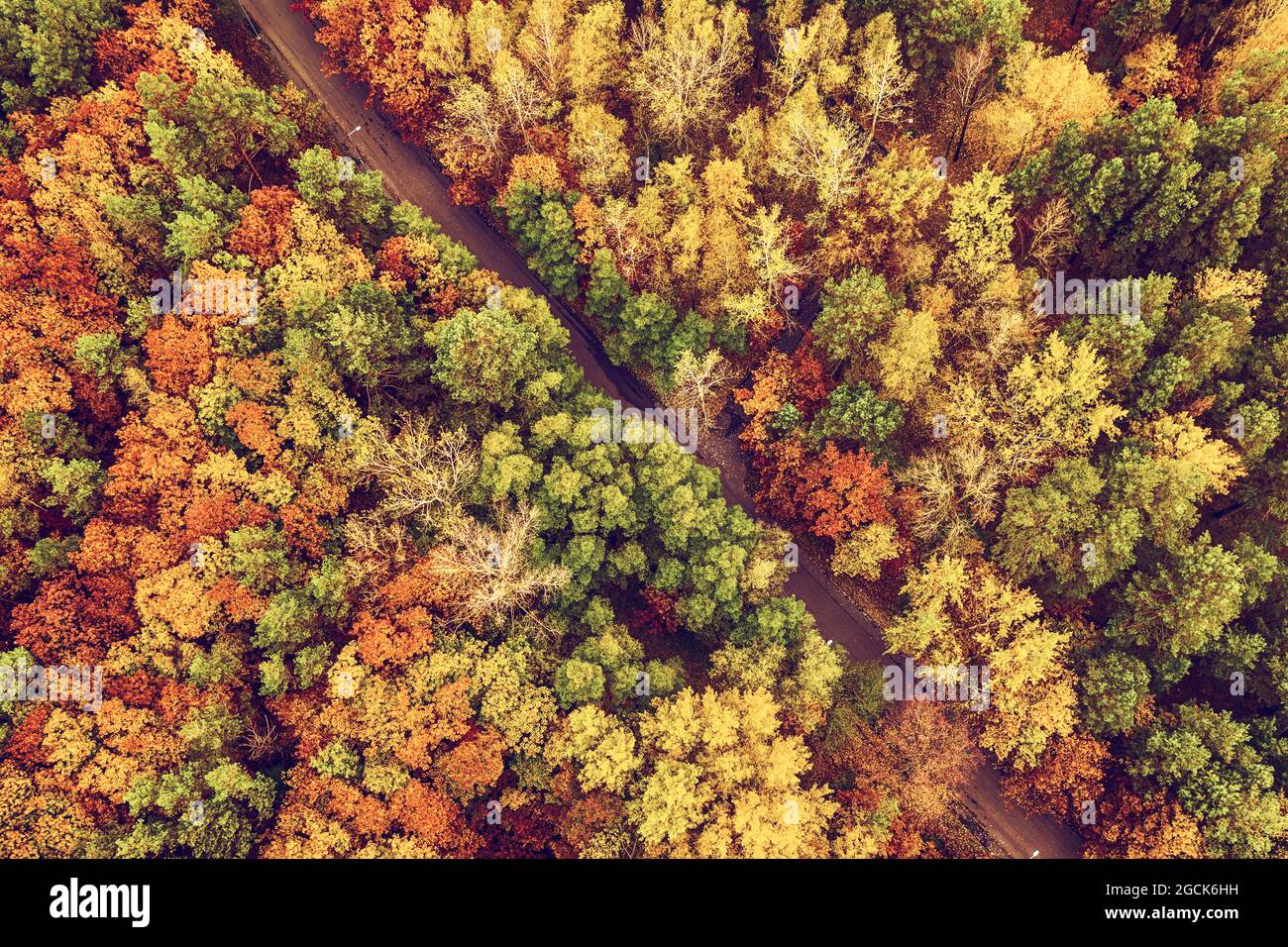 Autumn forest from above Stock Photo - Alamy