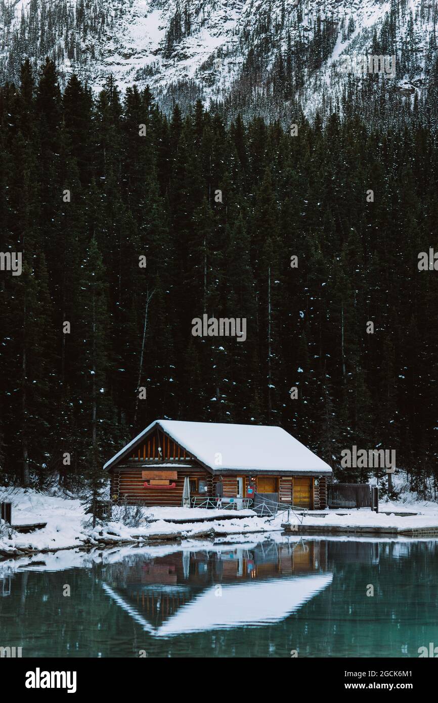 Lumber shack located on snowy shore of calm Lake Louise near coniferous ...