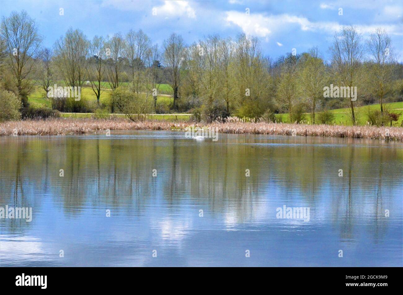 Deene Park Lake Stock Photo - Alamy