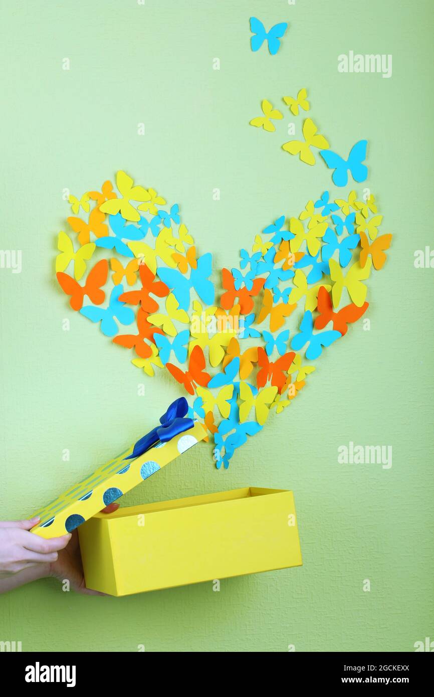 Butterflies Fly Out Of Box at Alice Fisher blog