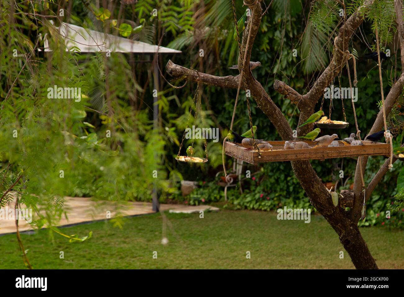 Backyard of a house hi-res stock photography and images - Alamy